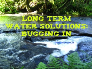 Long Term Water Solutions: Bugging In - The Organic Prepper