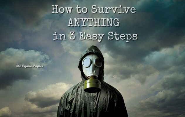 How to Survive ANYTHING in 3 Easy Steps - The Organic Prepper