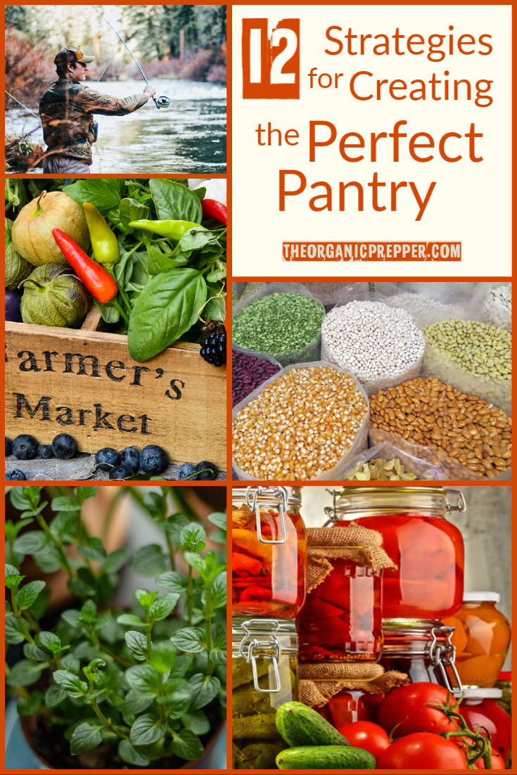 12 Strategies for Creating the Perfect Pantry - The Organic Prepper