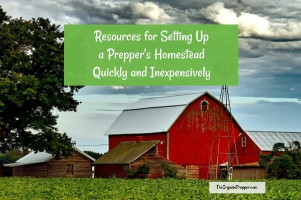Setting Up a Prepper's Homestead - The Organic Prepper