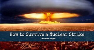 How to Survive a Nuclear Strike - The Organic Prepper