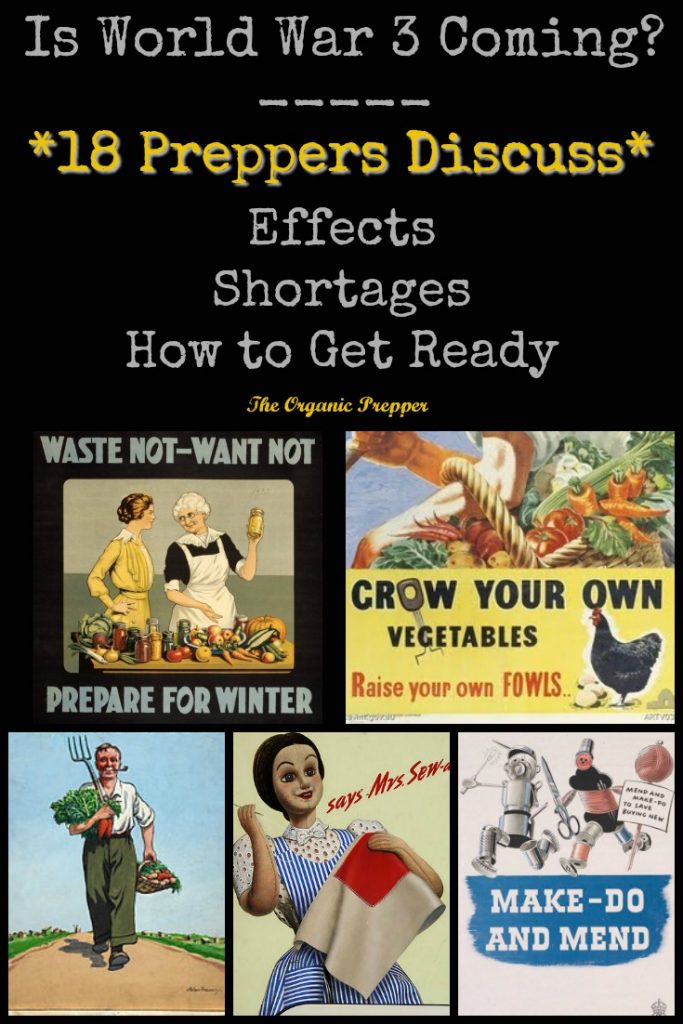 Is World War 3 Coming? - The Organic Prepper