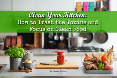 Clean Your Kitchen: How to Trash the Toxins and Focus on Clean Food ...