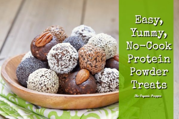 Easy, Yummy, No-Cook Protein Powder Treats - The Organic Prepper