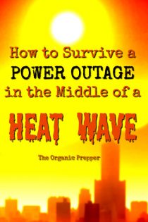 Temps Reach 112 Degrees During SoCal Blackout - The Organic Prepper