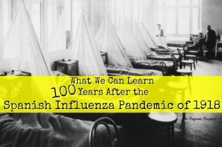What We Can Learn 100 Years After the Spanish Influenza Pandemic of ...