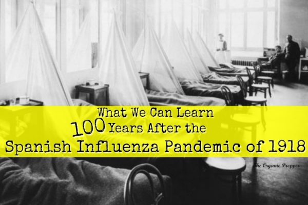 What We Can Learn 100 Years After the Spanish Influenza Pandemic of ...