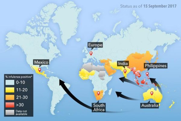 What We Can Learn 100 Years After the Spanish Influenza Pandemic of ...