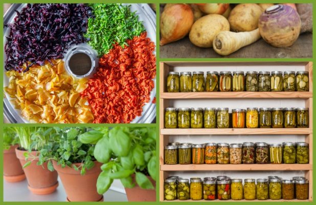 Add Fruits and Vegetables to Your Prepper Stockpile