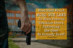 What Good Would More Gun Laws Do When They Don't Enforce the Ones We ...