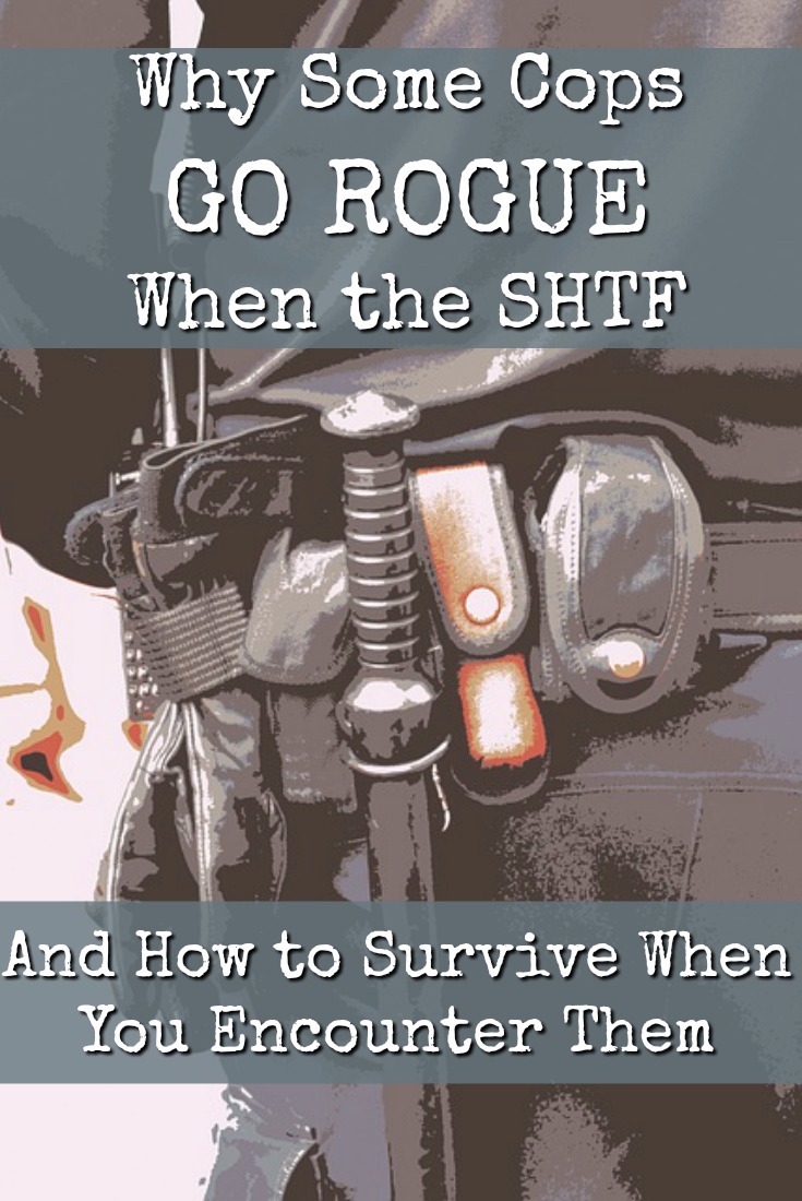 Surviving Rogue Cops When the SHTF - The Organic Prepper