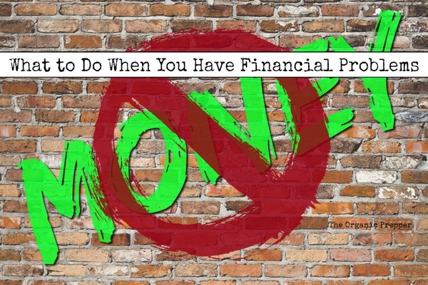What to Do When You Have Financial Problems - The Organic Prepper