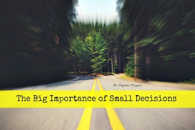 The Big Importance of Small Decisions - The Organic Prepper