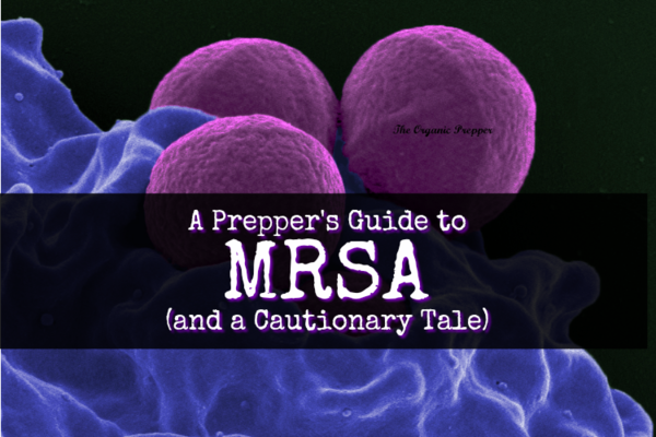 A Prepper's Guide to MRSA - The Organic Prepper
