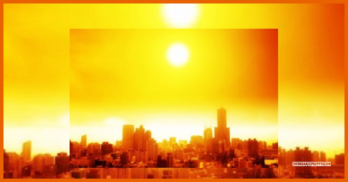 Power Grid Could Buckle During Extreme Heat Wave: Here's How to Keep ...