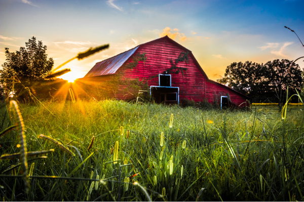 Prepper Homestead: Not a Good Plan -The Organic Prepper