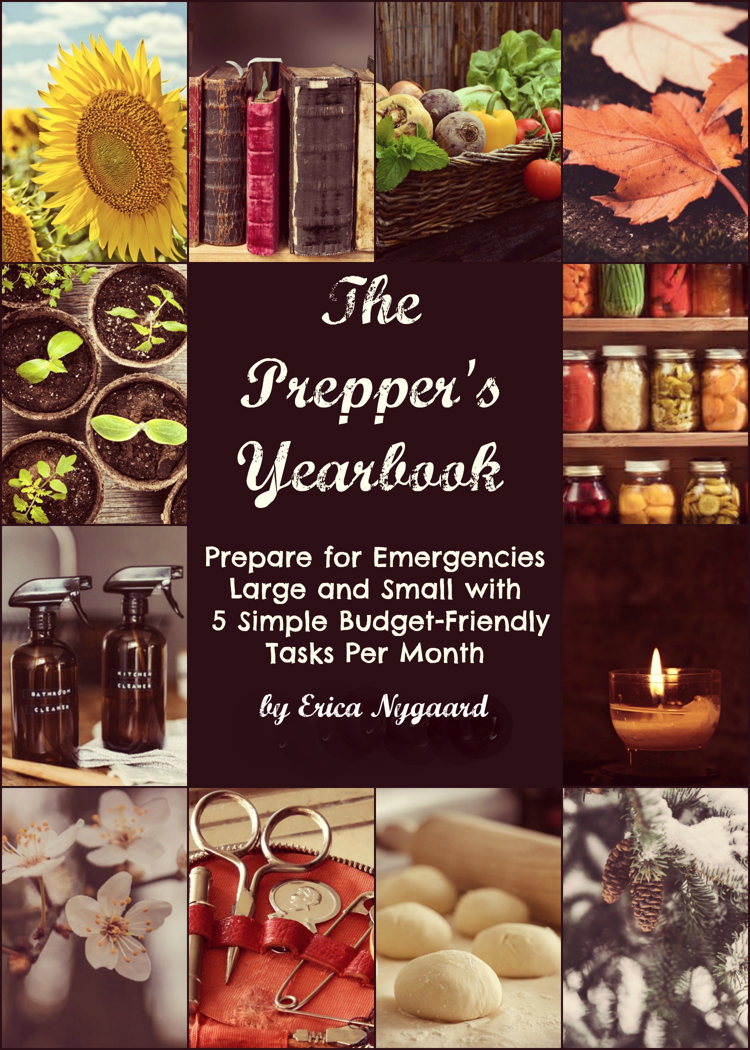 Get Prepped This Year with 5 Tasks a Month - The Organic Prepper