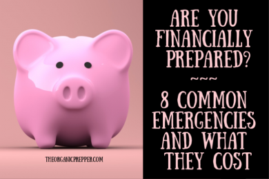 Are You Financially Prepared for These Common Emergencies?