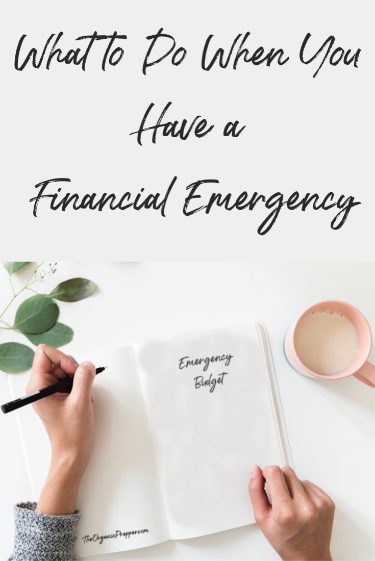 What to Do When You Have a Financial Emergency - The Organic Prepper