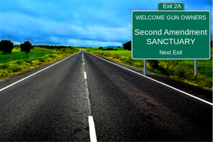 Second Amendment Sanctuary Cities, Counties, & STATES
