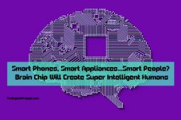 Brain Chip Will Create Super-Intelligent Humans - The Organic Prepper
