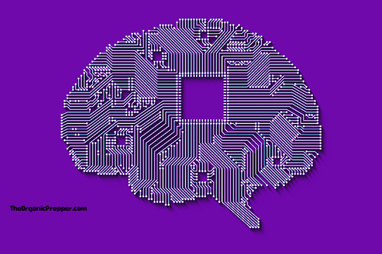 Brain Chip Will Create Super-Intelligent Humans - The Organic Prepper