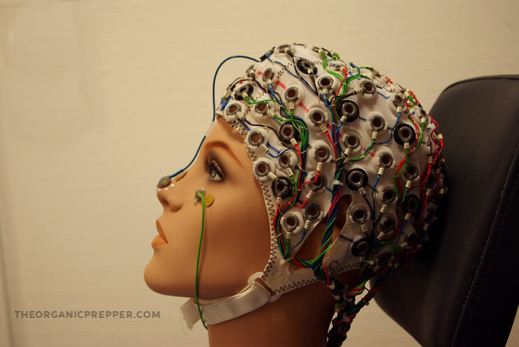 Scientists Can Predict Your Choices Before You Make Them