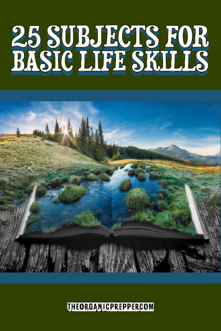 25 Subjects for Basic Life Skills - The Organic Prepper