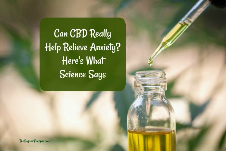 Can CBD Really Help Relieve Anxiety? Here's What Science Says