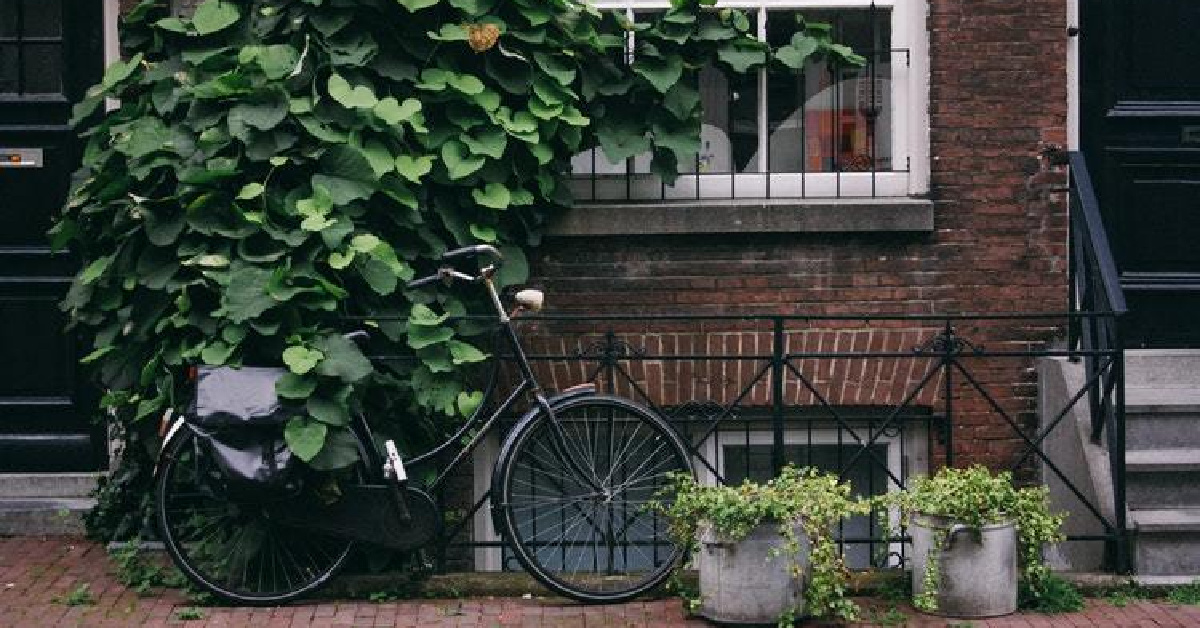 7 Ways City Prepping Is Different - The Organic Prepper
