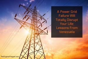 A Power Grid Failure Will Totally Disrupt Life As We Know It