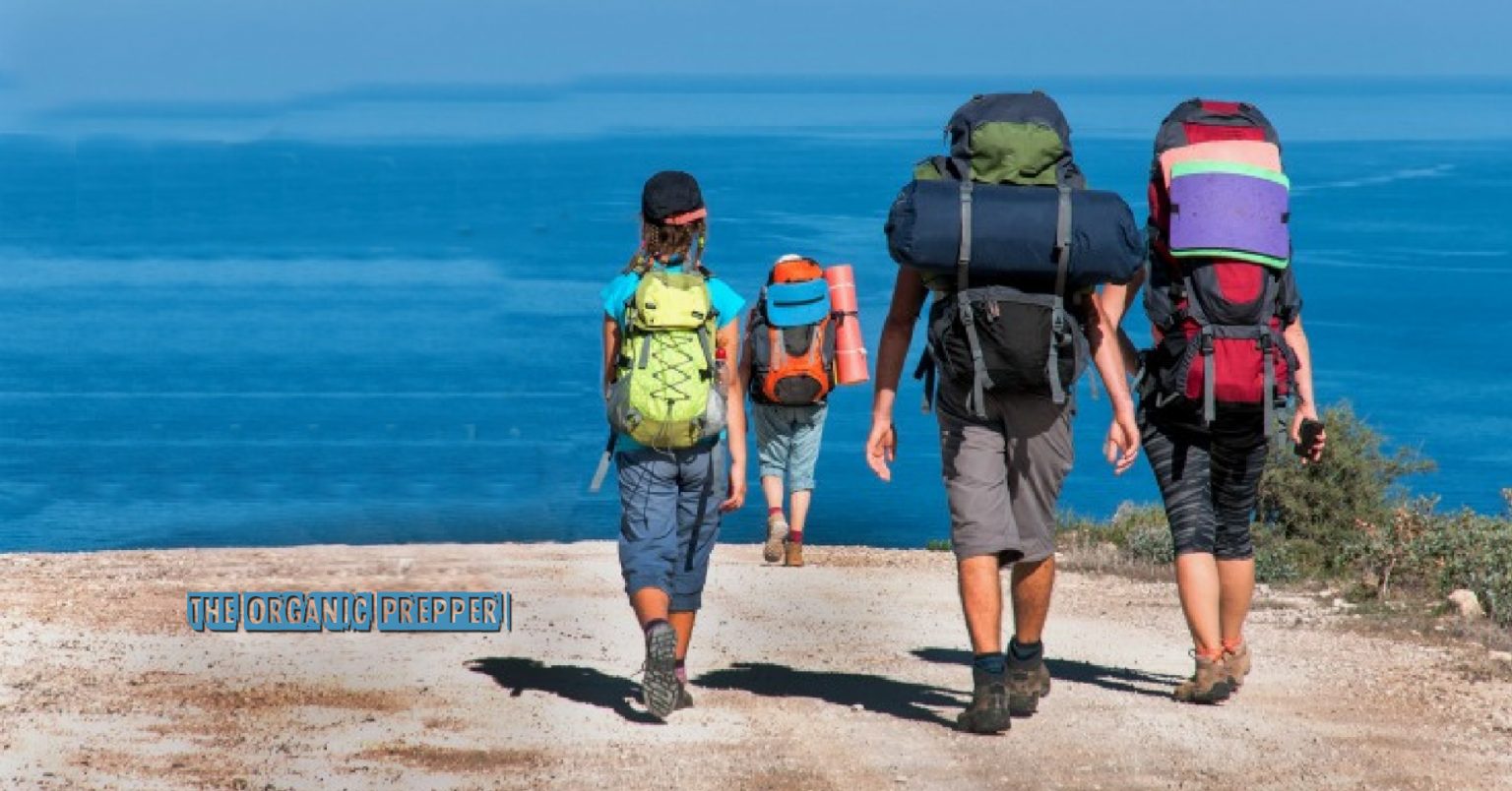 12 Prepper Summer Vacation Activities - The Organic Prepper