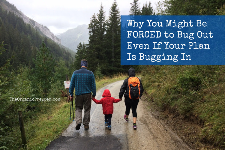 Why You Might Be FORCED to Bug Out - The Organic Prepper