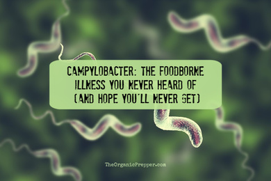 Campylobacter: The Foodborne Illness You Never Heard Of (And Hope You ...