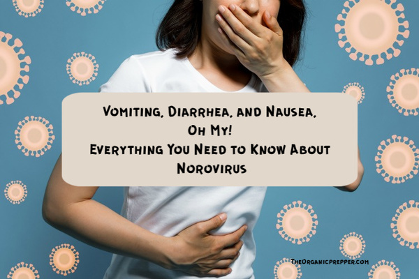 Vomiting, Diarrhea, and Nausea, Oh My! Everything You Need to Know ...