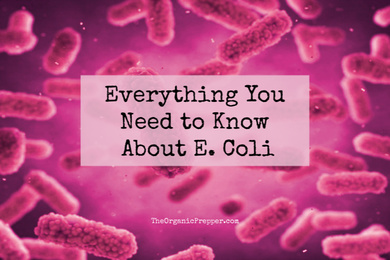Everything You Need to Know About E. Coli