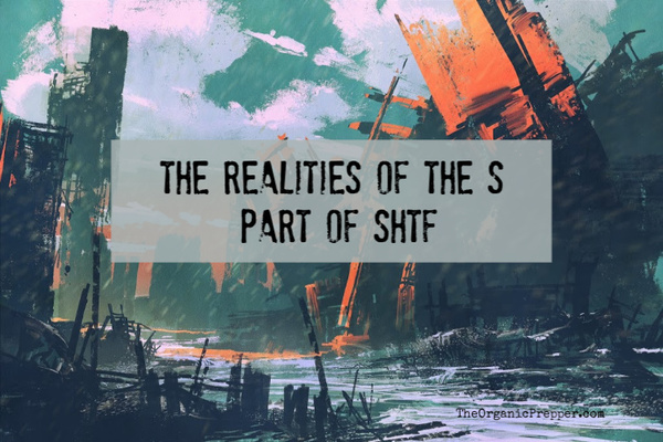 The Realities of the S Part of SHTF