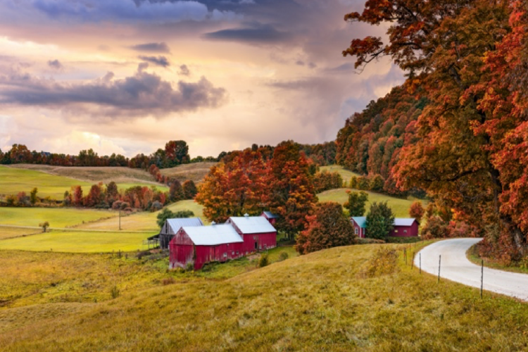 Rural Living: Essential Safety Tips for Living in Secluded Areas