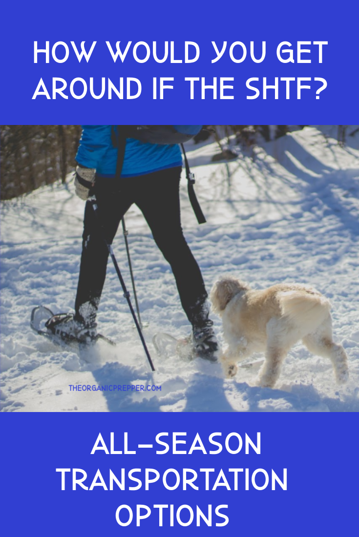 All-Season Transportation Options for Preppers - The Organic Prepper