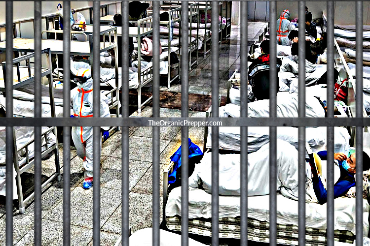 China Goes Door to Door, Takes People to Mandatory Quarantine Camps