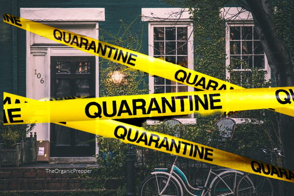 How to Prepare for a Coronavirus Quarantine - The Organic Prepper