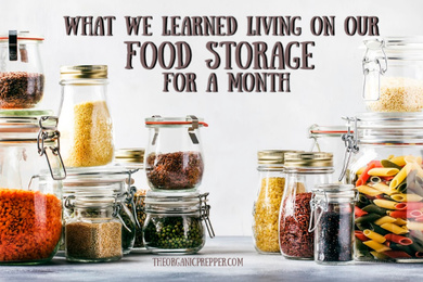 What We Learned Living on Our Food Storage for a Month