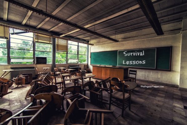 SELCO: Have You Learned These Survival Lessons During the Pandemic?