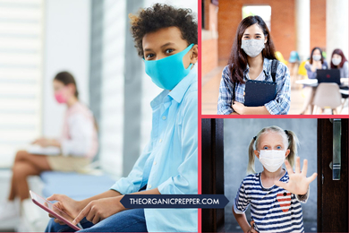 What You Need to Know About Sending Your Child Back to School