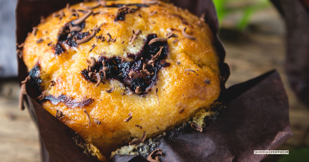 Dehydated Blueberry Muffin Syndrome: Survival Isn't Always Comfortable