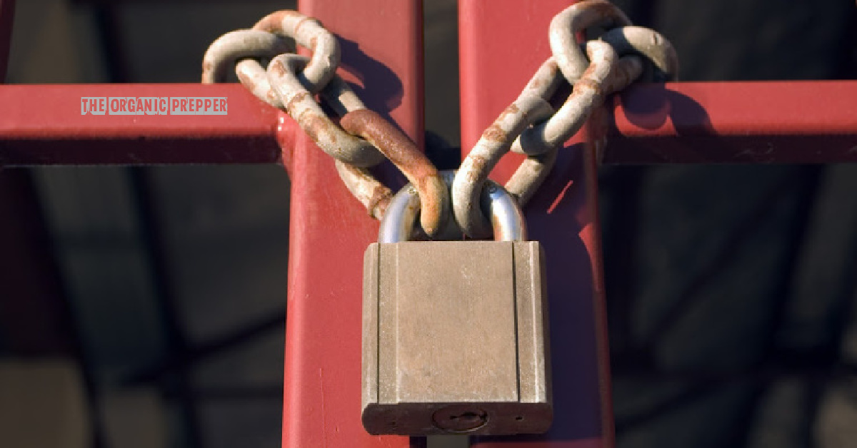 Here's What 75 Preppers Learned During the Lockdown