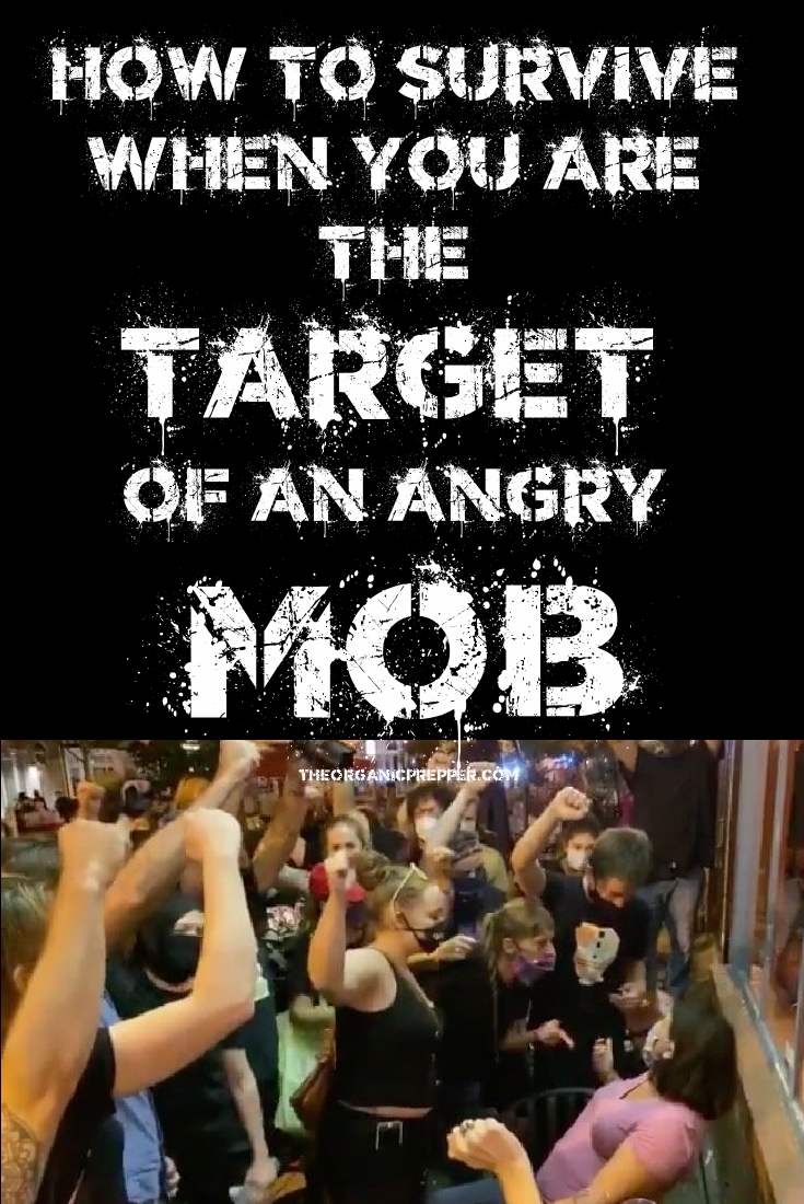 How to Survive When You're the Target of a Mob - The Organic Prepper
