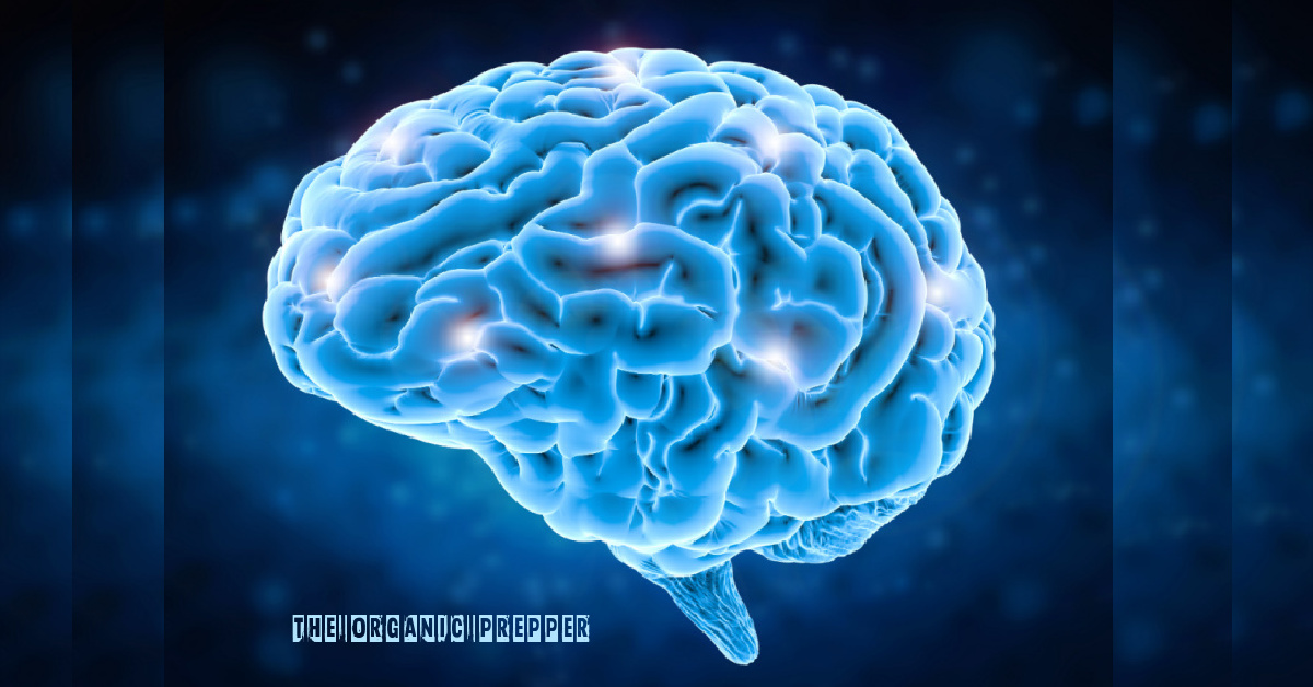 Survival Mindset: Know That YOU Are Worth Defending