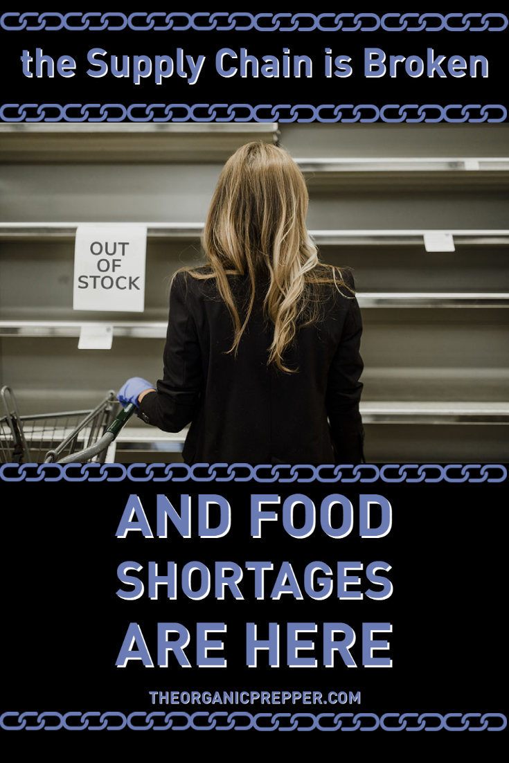 The Supply Chain is Broken and Food Shortages Are HERE