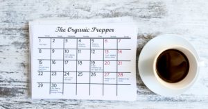 101 Easy Ways to Prep Every Day - The Organic Prepper